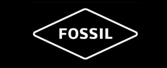 Fossil Watch Stella Ladies ES3588 Watch | Jura Watches