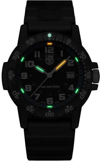 Luminox Leatherback Sea Turtle Giant 0320 Series Watch XS.0324 Watch ...